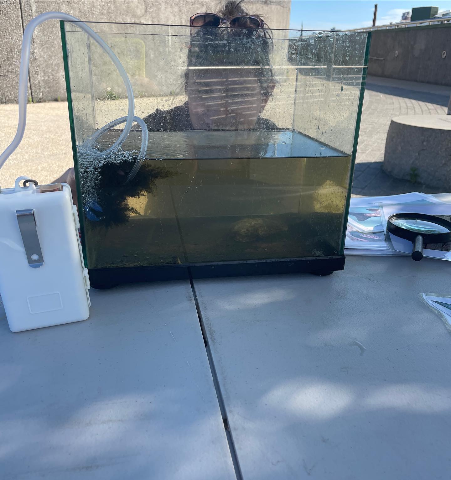 Creek Critters – Newtown Creek Alliance