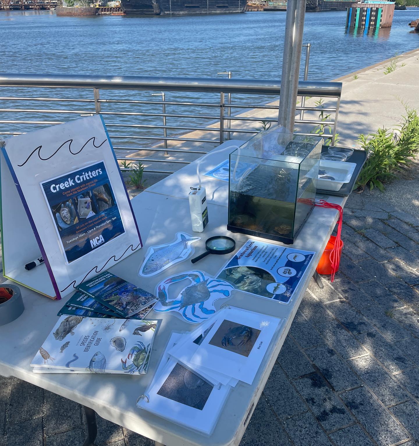 Creek Critters – Newtown Creek Alliance