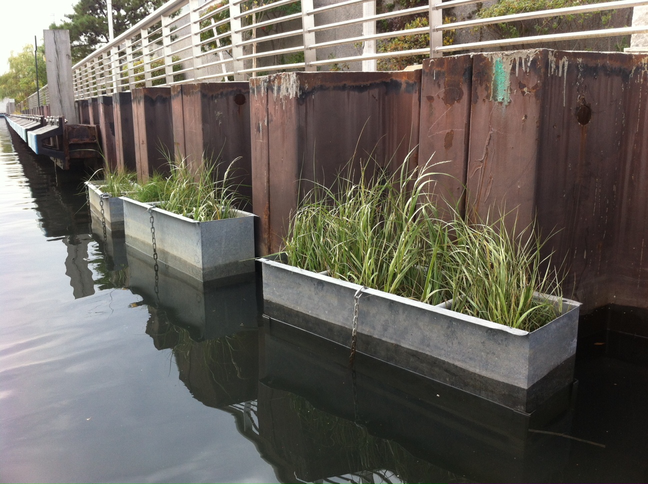 Wetland Frames hit the Creek – Newtown Creek Alliance