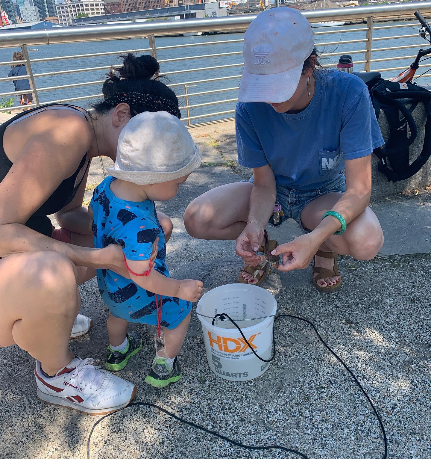 Creek Critters – Newtown Creek Alliance