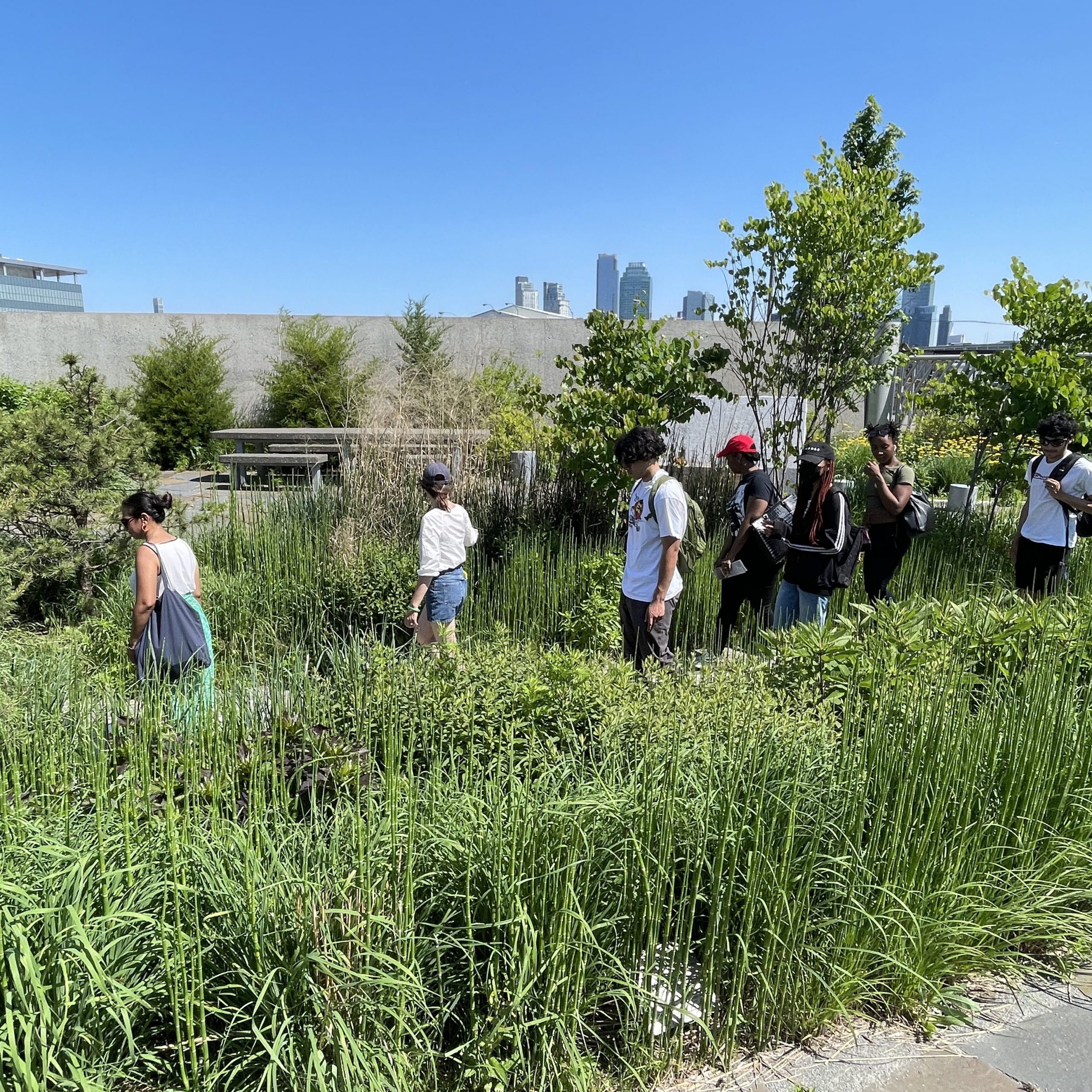 Urban Waterways and Green Infrastructure Tour – Newtown Creek Alliance